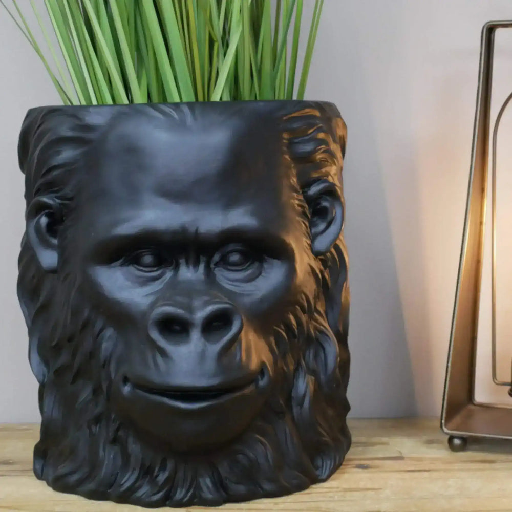 Plant Pots