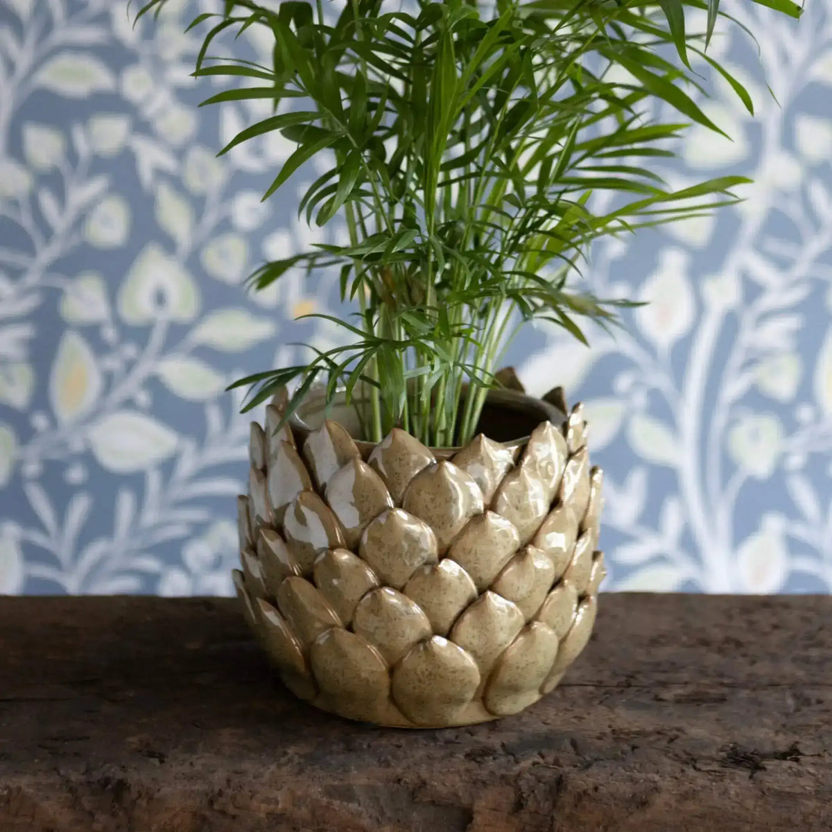 Plant Pots