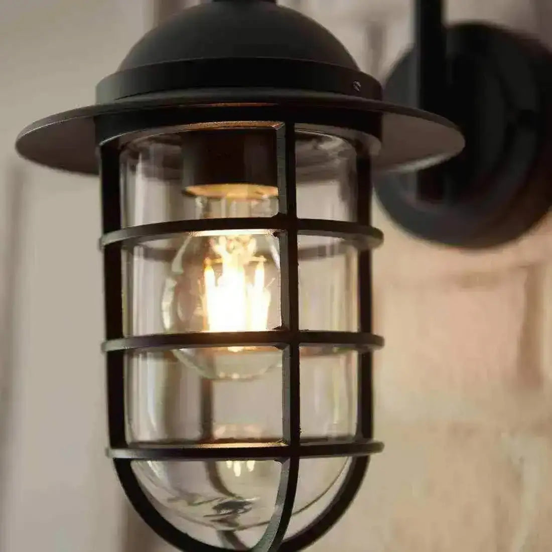 Coastal Matt Black Exterior Cage Wall Light
