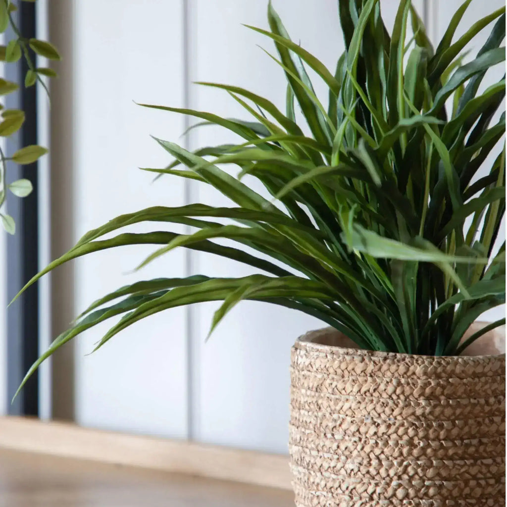Faux Green Grass in Artificial Soil Ball